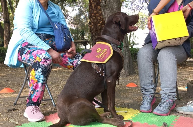 INTERVENCIONES ASISTIDAS CON PERROS